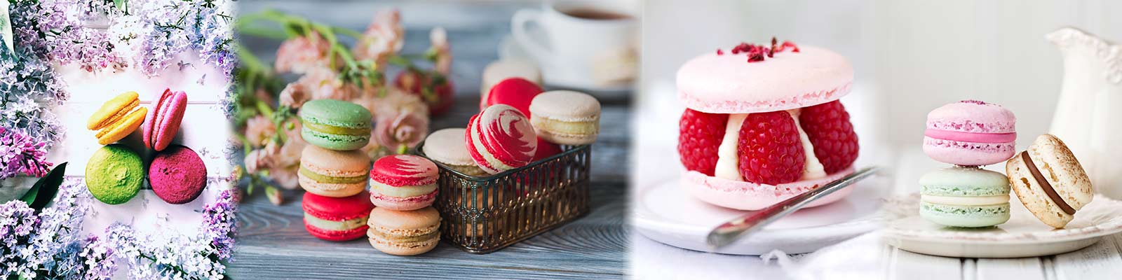 Short Courses - Exotic Macarons Workshop