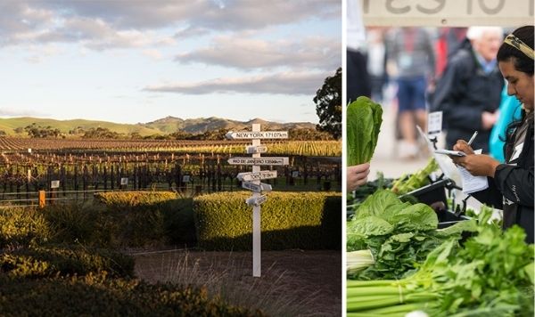 3 Ways the Food Industry has Changed Forever (beyond your groceries)